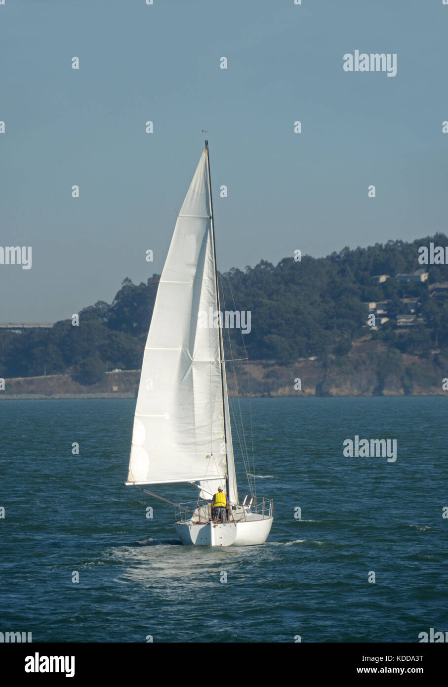 Sailboat in the San Francisco Bay, California Stock Photo - Alamy