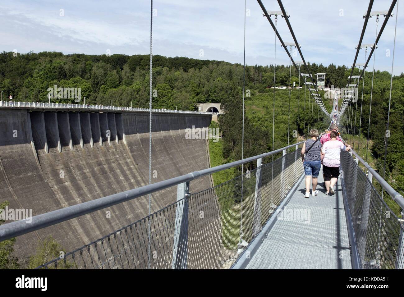 People crossing the rope bridge at Rappbodetalsperre, 11 June 2017 ...