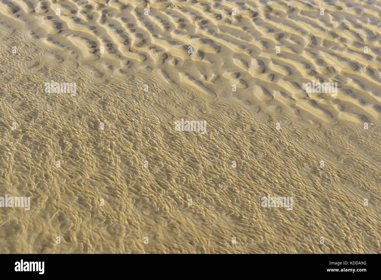 Wavy ripple marks hi-res stock photography and images - Alamy