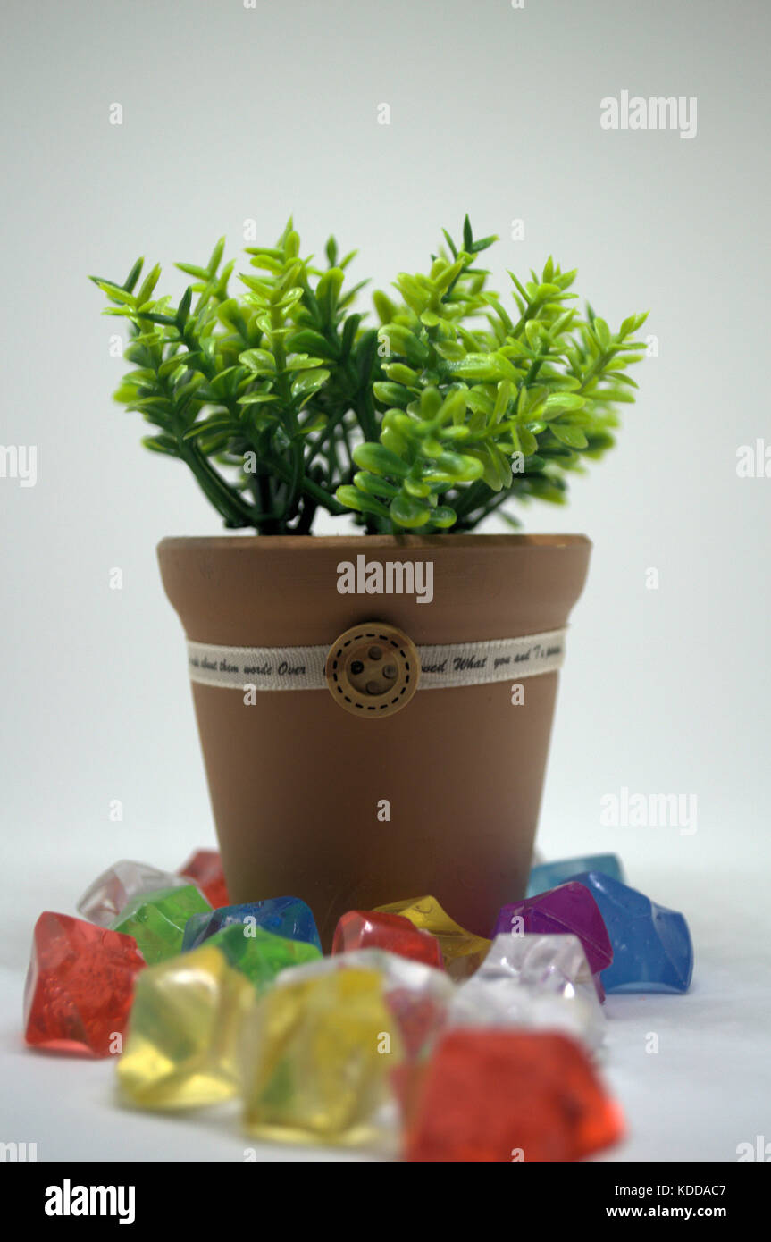 Plastic plant hi-res stock photography and images - Alamy