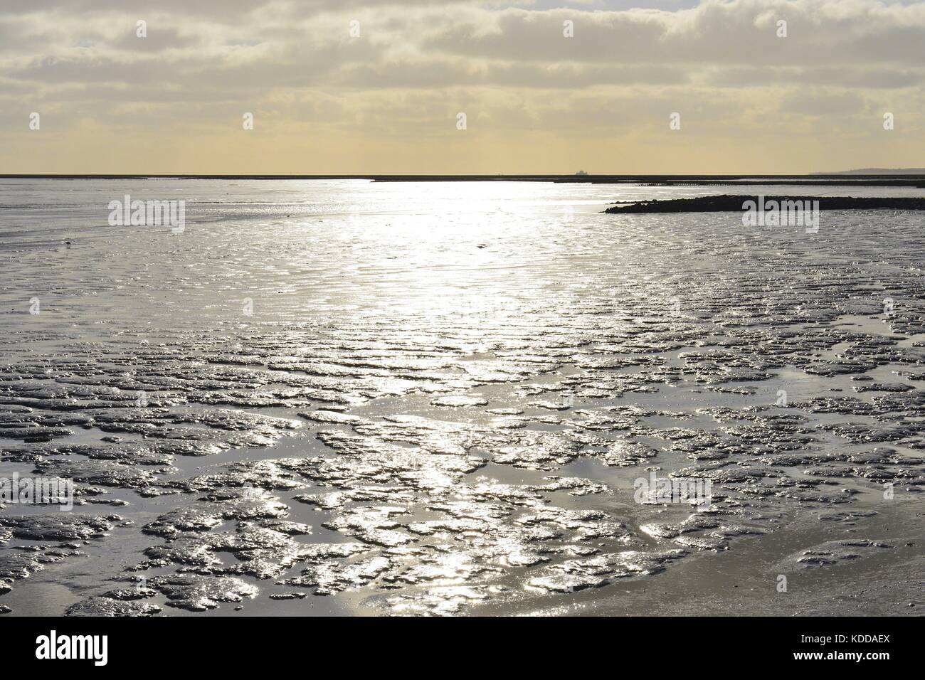 Silver glittering sludge in the wide area of the North Frisian Wadden ...