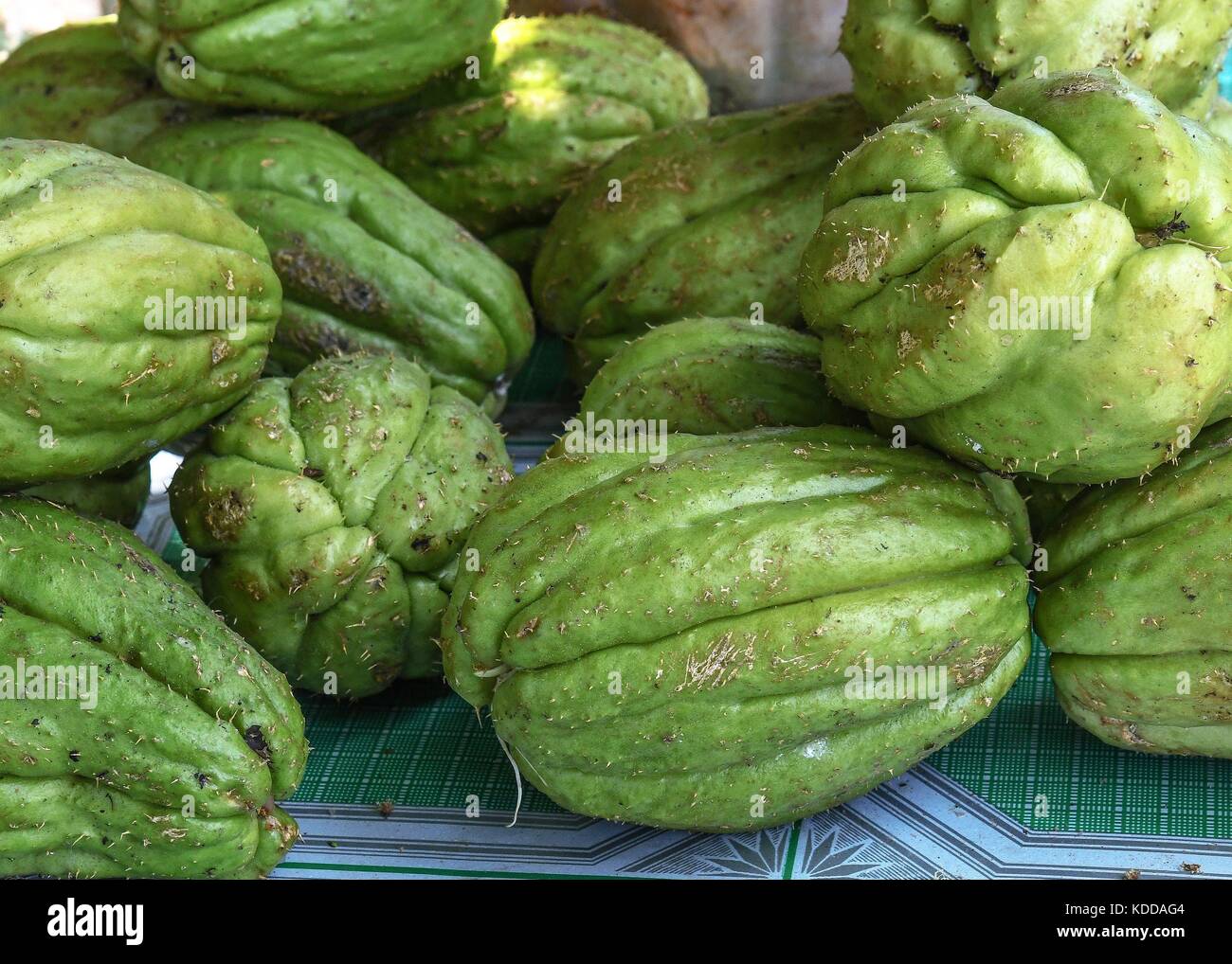 Chouchou hi-res stock photography and images - Alamy