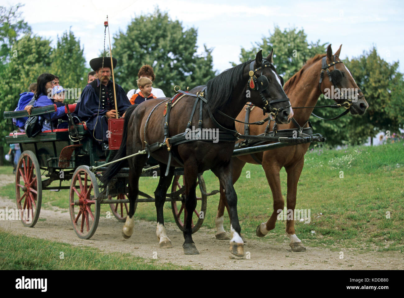 Ungarn, Balaton, Zamardi, Szantodpuszta, Pferdewagen am Museumsgutshof ...
