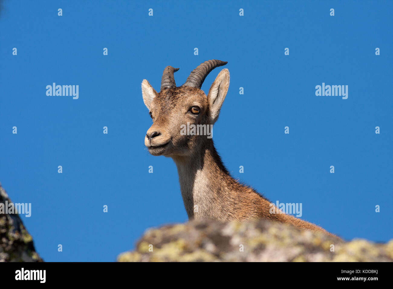 Orography hi-res stock photography and images - Alamy