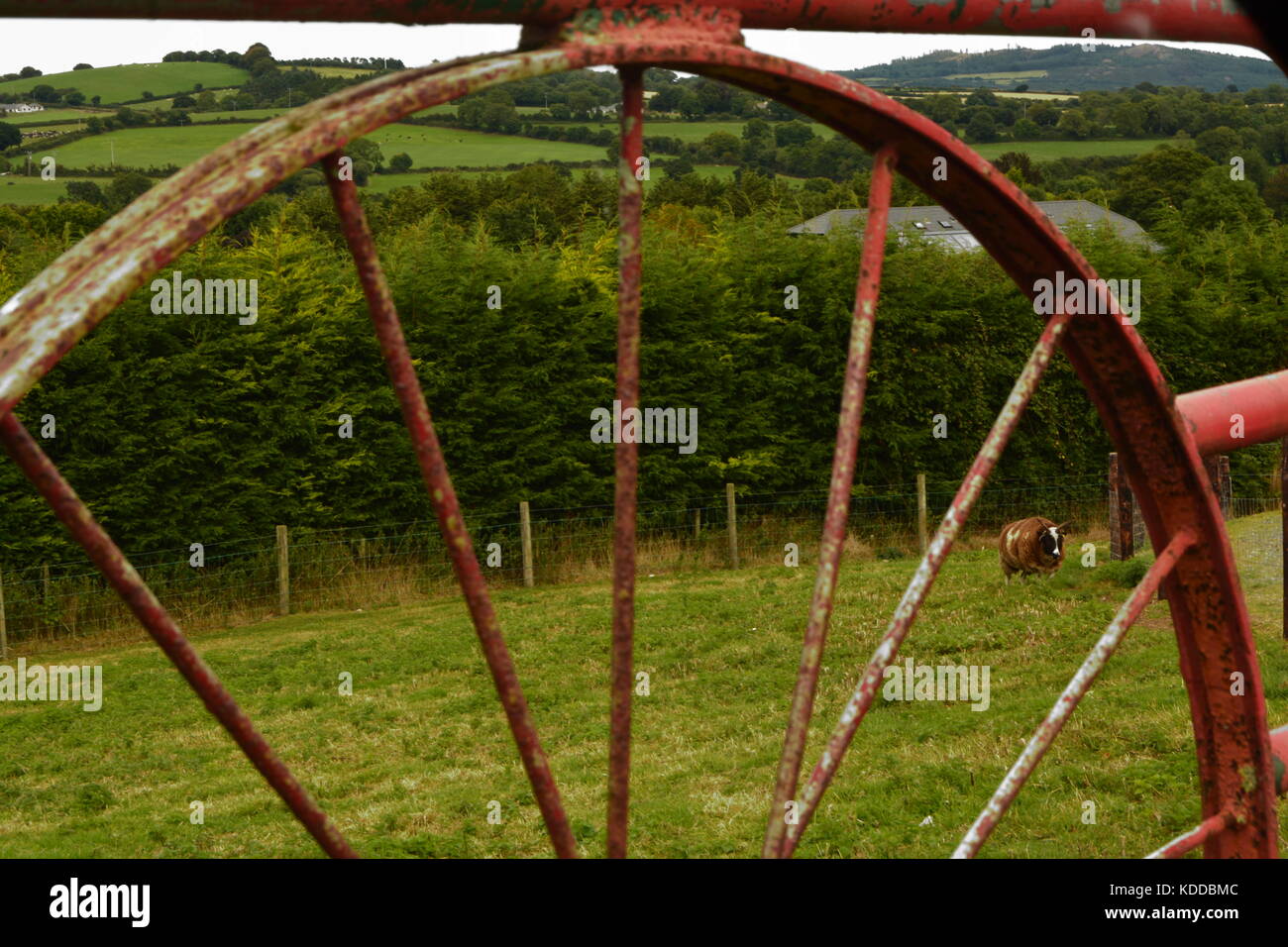 Red gate hi-res stock photography and images - Alamy