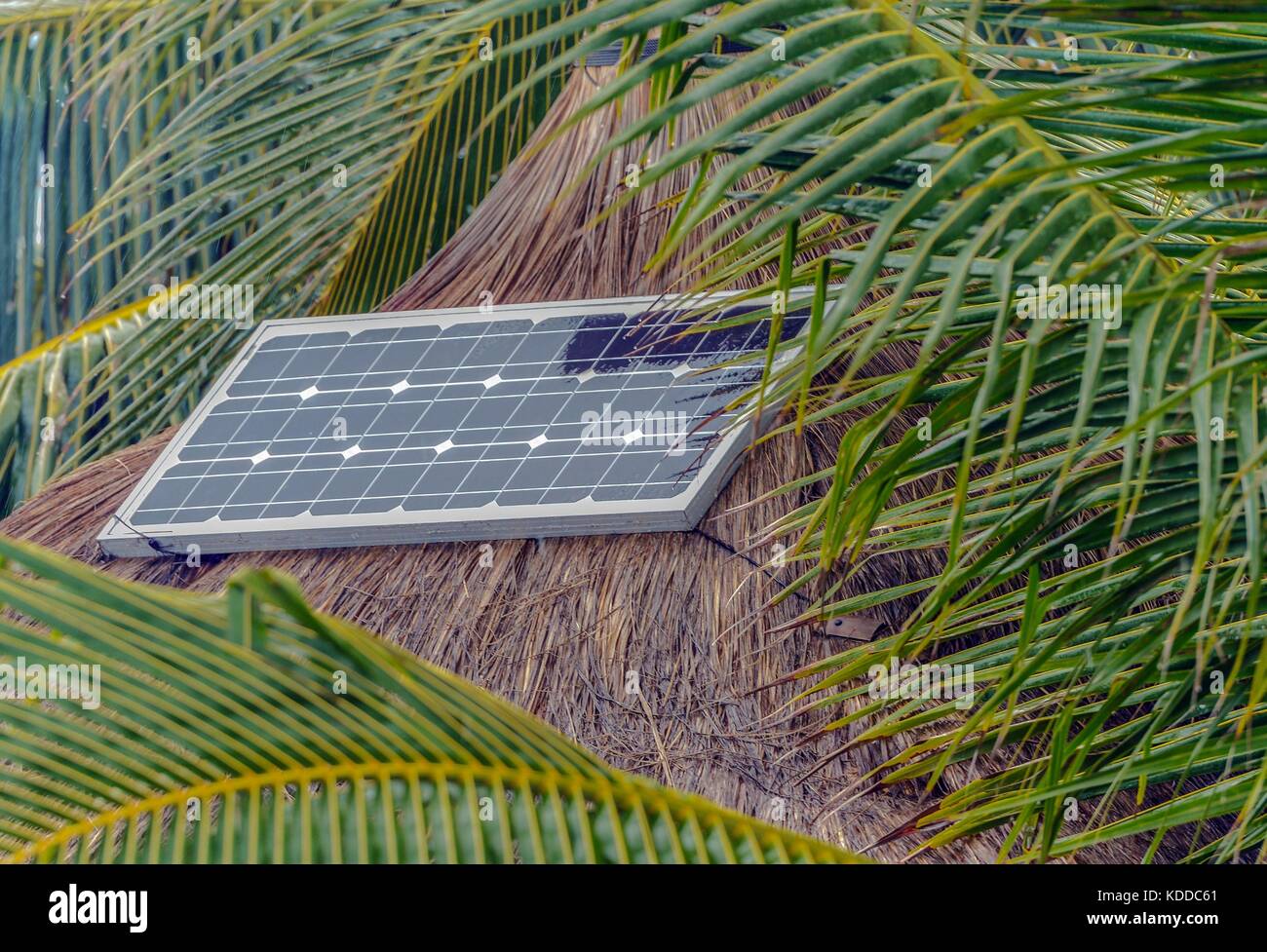 Timor leste atauro hi-res stock photography and images - Alamy