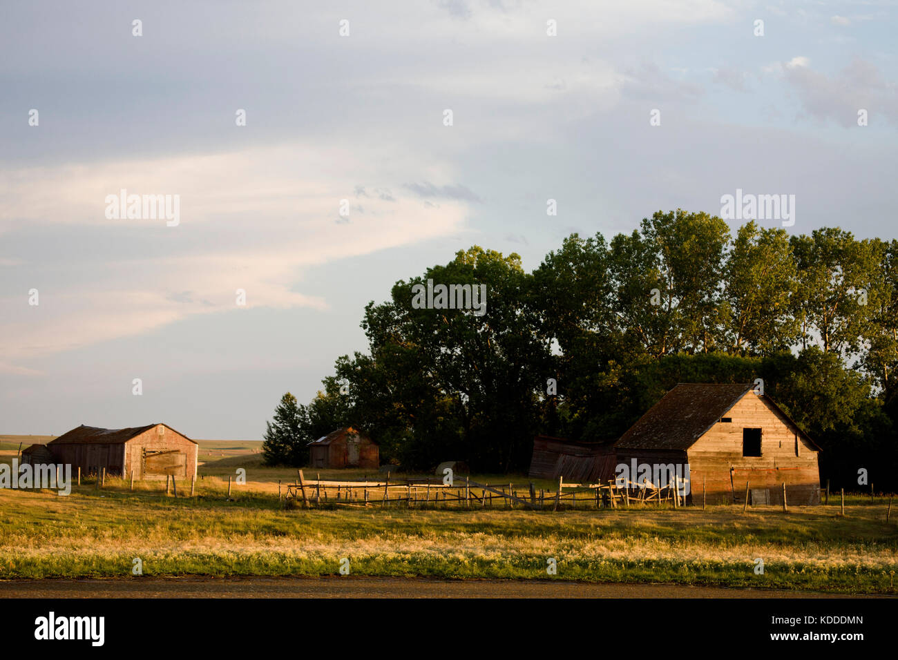 Prairie Barn Saskatchewan summer rural scene Canada Stock Photo - Alamy