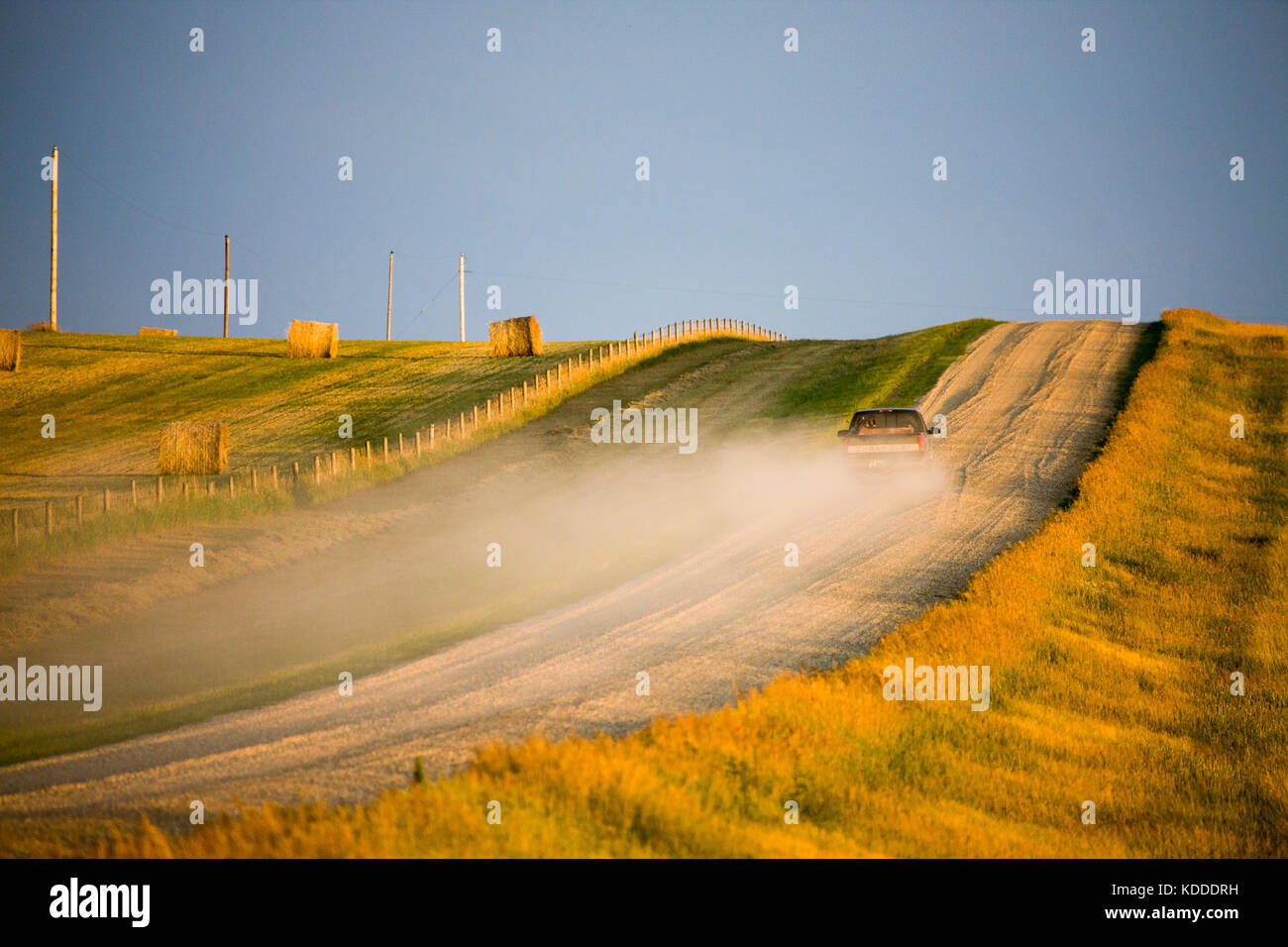 Prairie Scene Saskatchewan summer crop harvest Canada Stock Photo - Alamy