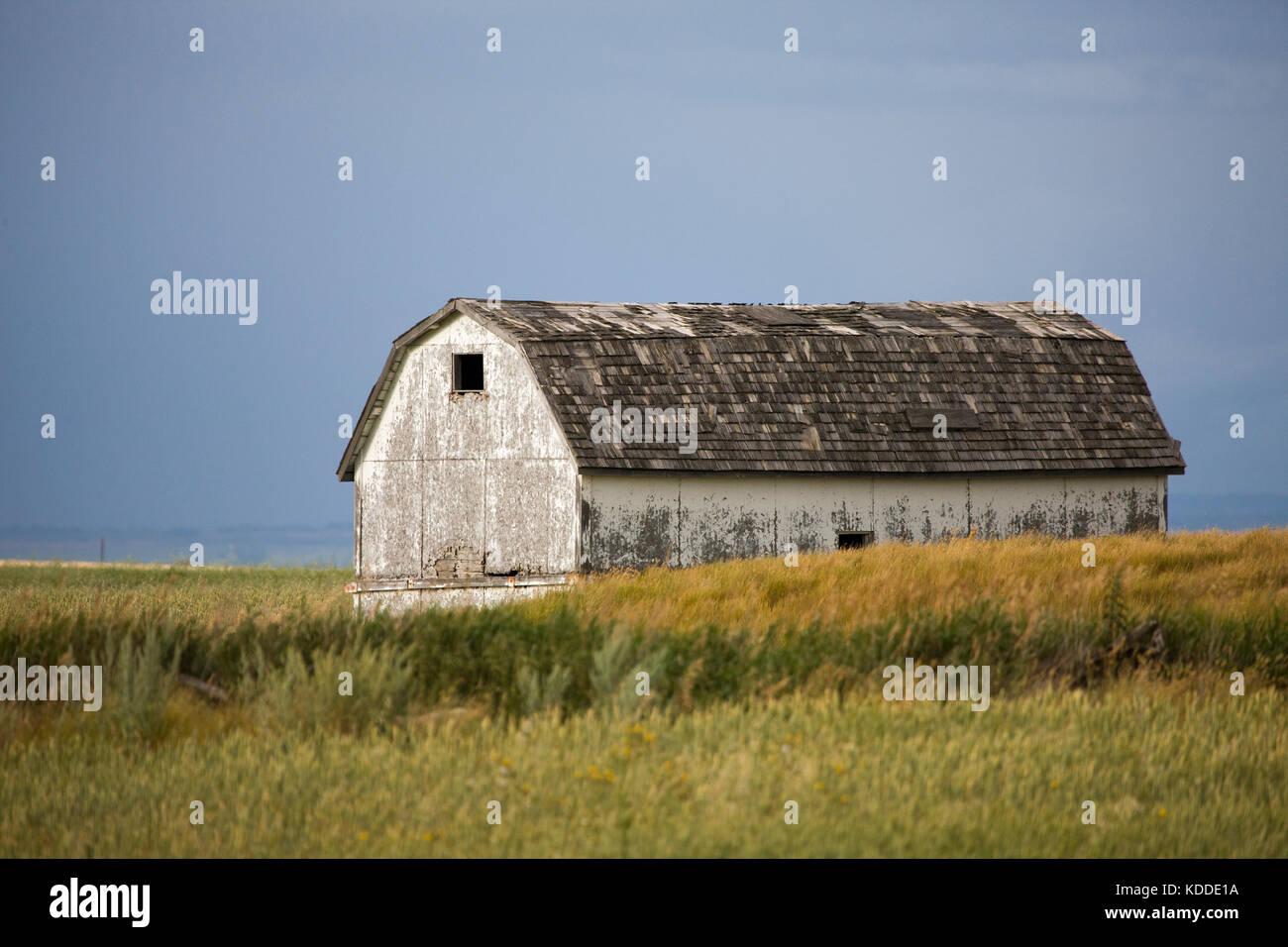 Prairie Barn Saskatchewan summer rural scene Canada Stock Photo - Alamy