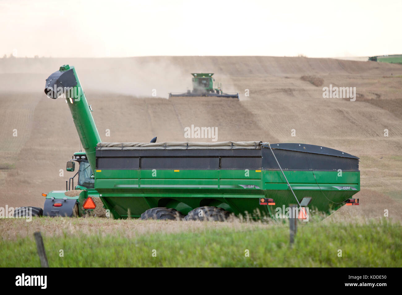 Prairie Scene Saskatchewan summer crop harvest Canada Stock Photo - Alamy