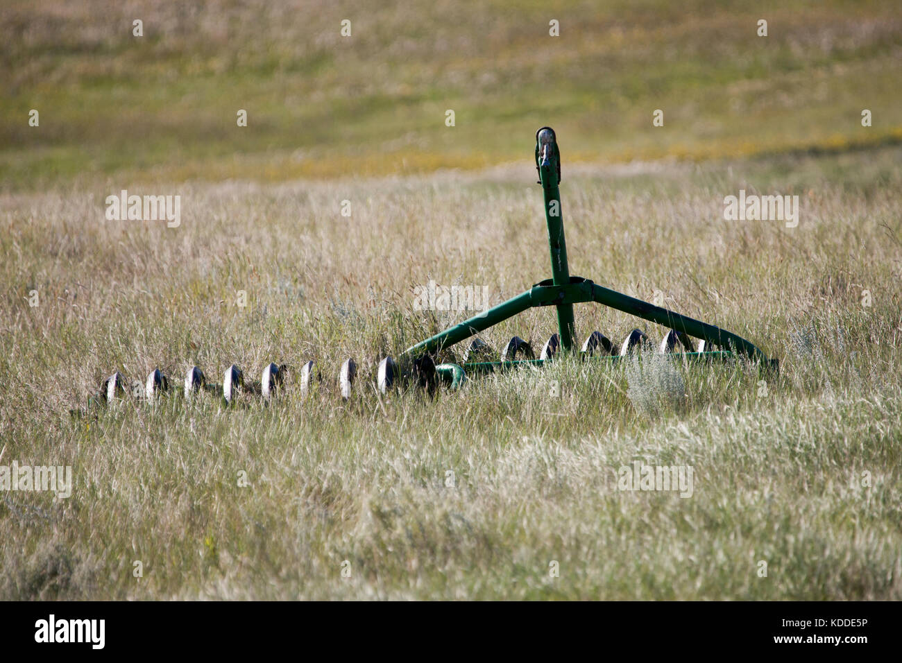 Prairie Scene Saskatchewan summer crop harvest Canada Stock Photo - Alamy