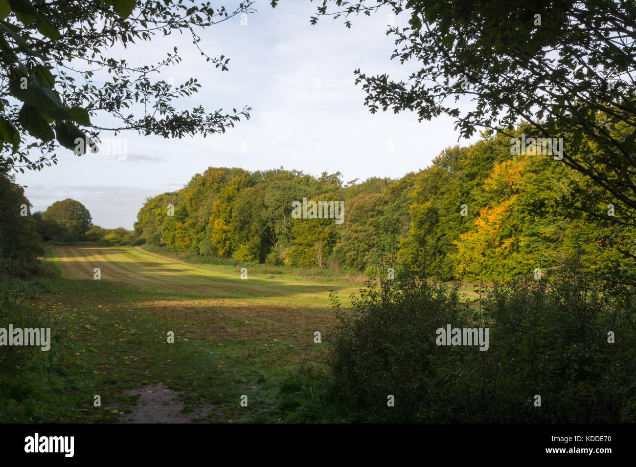 Old basing crabtree hi-res stock photography and images - Alamy