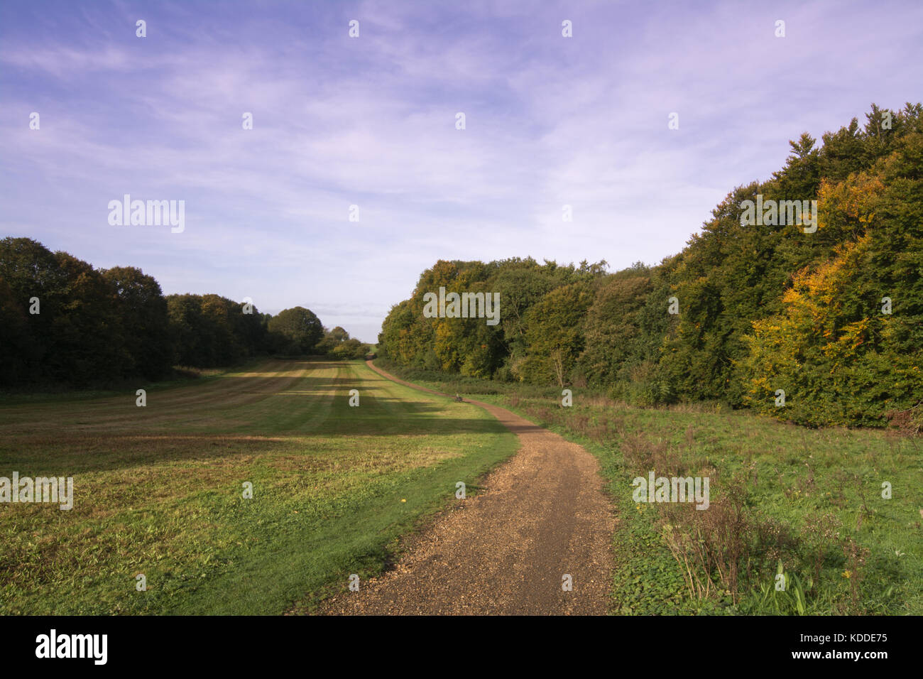 Old basing crabtree hi-res stock photography and images - Alamy