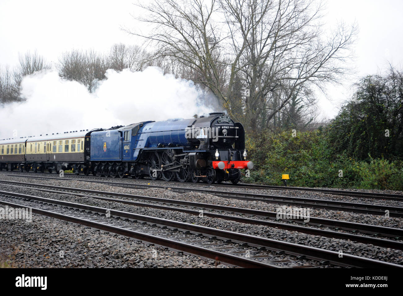 60163 "TORNADO" (on its first public train in B.R. blue) heads a ...