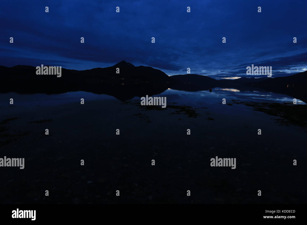 Reflectin in water hi-res stock photography and images - Alamy