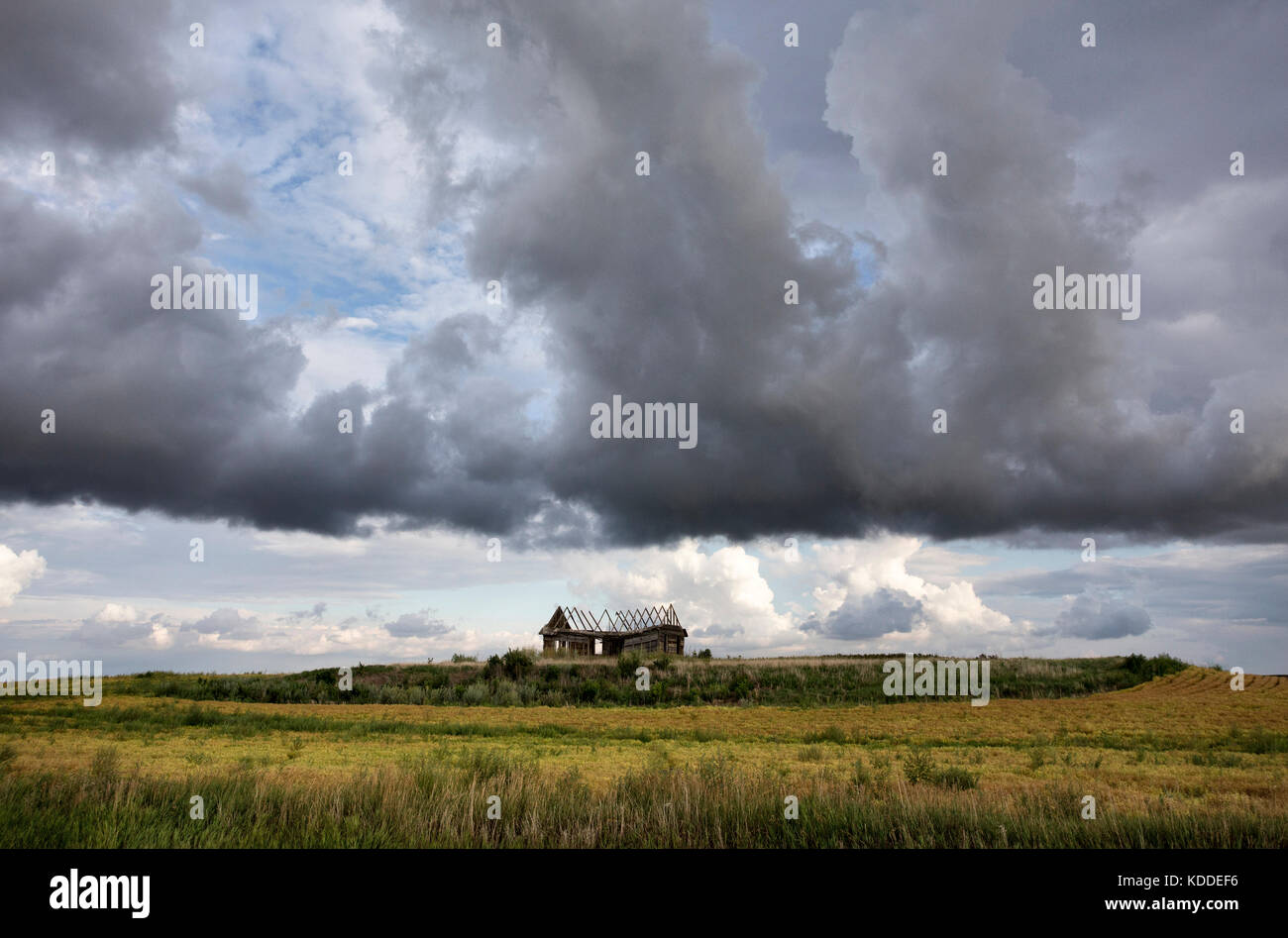 Prairie Scene Saskatchewan summer crop harvest Canada Stock Photo - Alamy