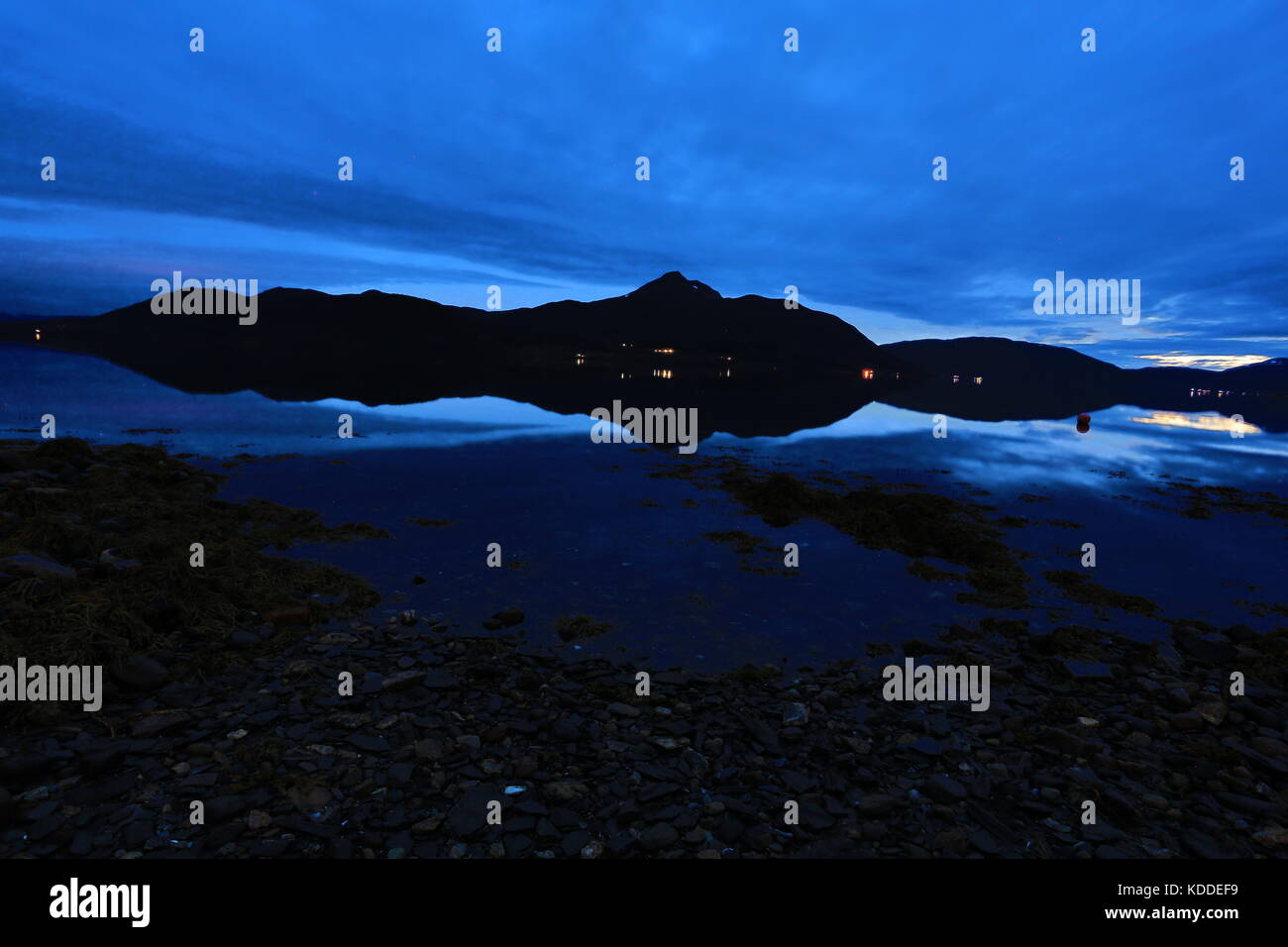 Reflectin in water hi-res stock photography and images - Alamy