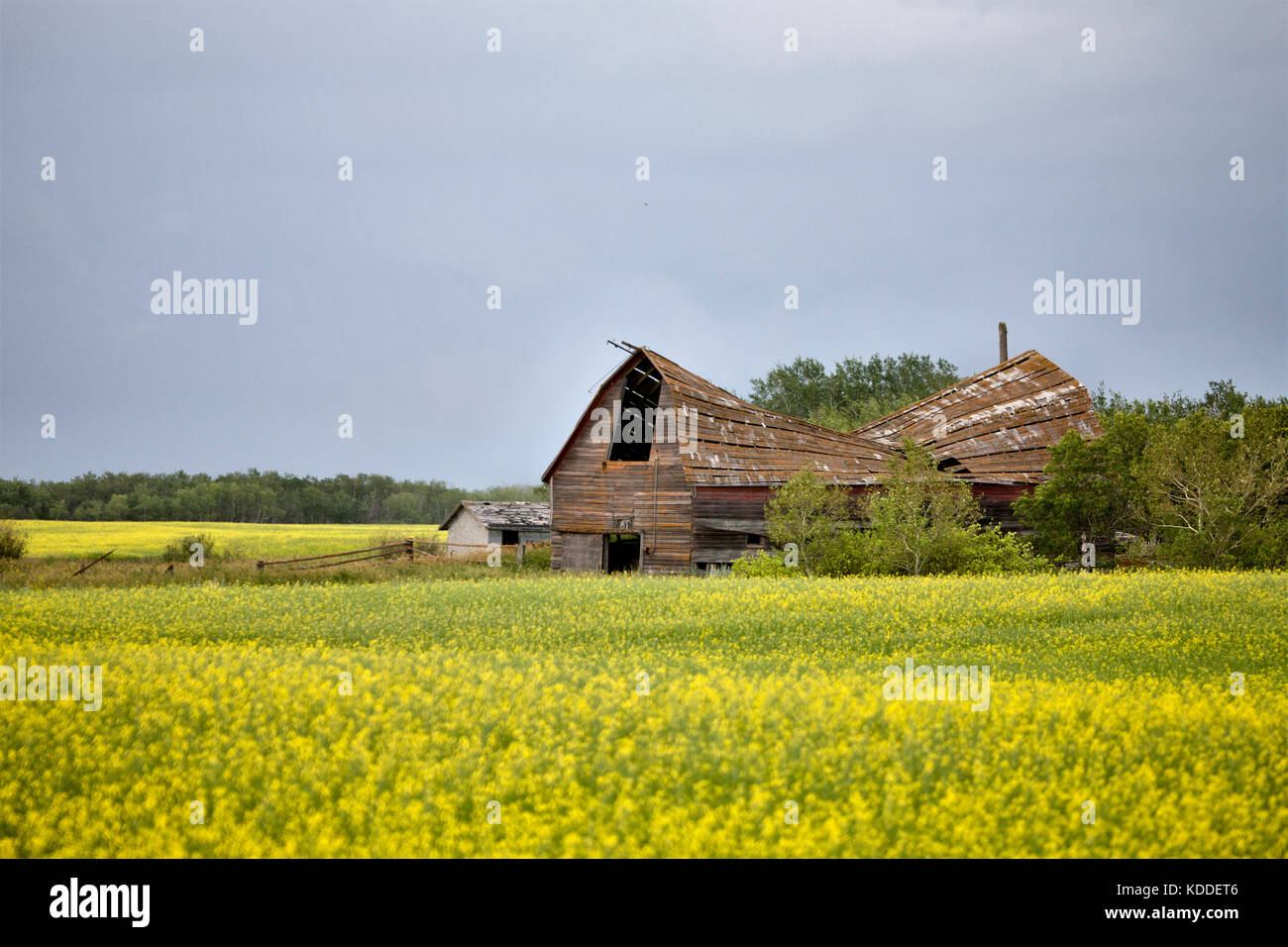 Storm Clouds Canada rural countryside Prairie Scene Stock Photo - Alamy