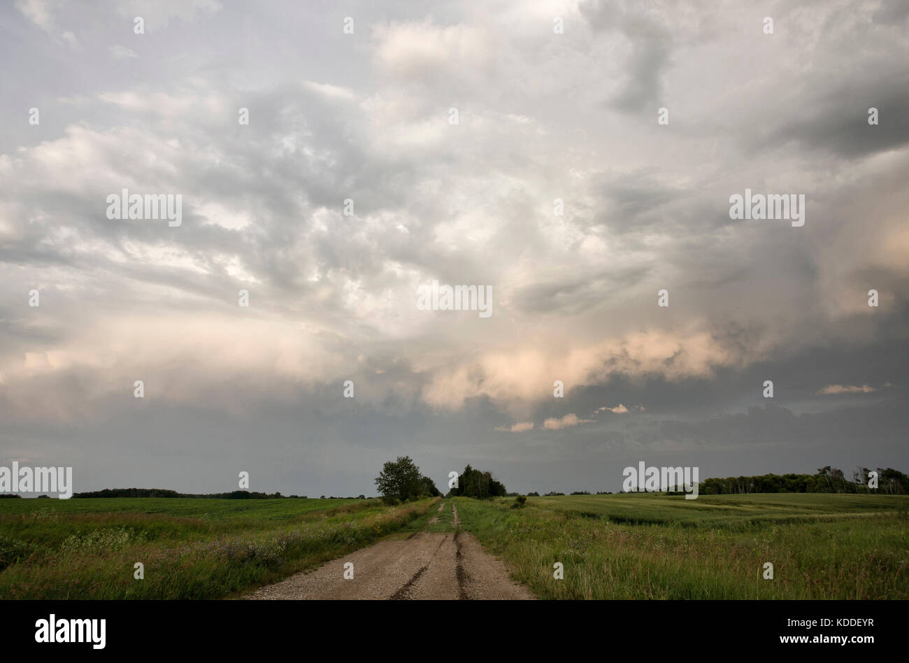 Storm Clouds Canada rural countryside Prairie Scene Stock Photo - Alamy