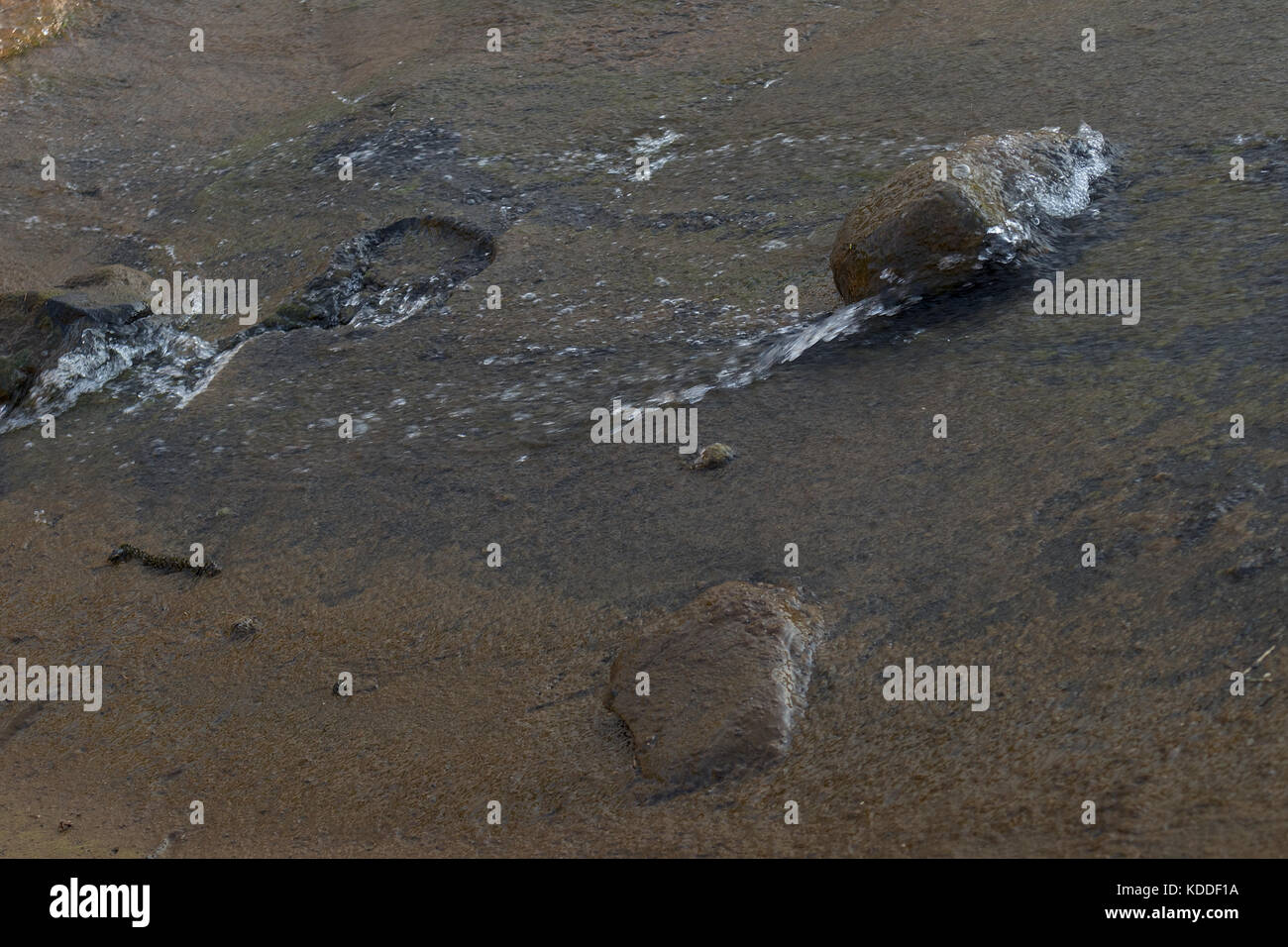 Freshwater stream, Texture in closeup Stock Photo - Alamy