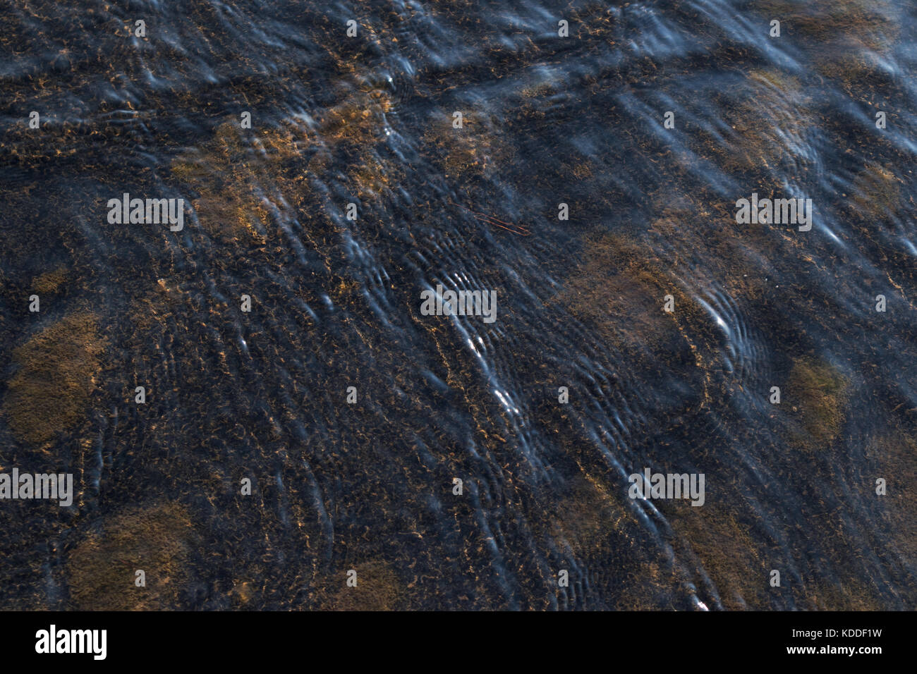Freshwater stream, Texture in closeup Stock Photo - Alamy