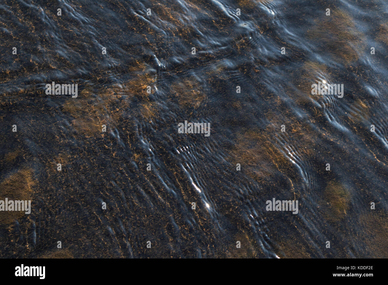 Freshwater stream, Texture in closeup Stock Photo - Alamy