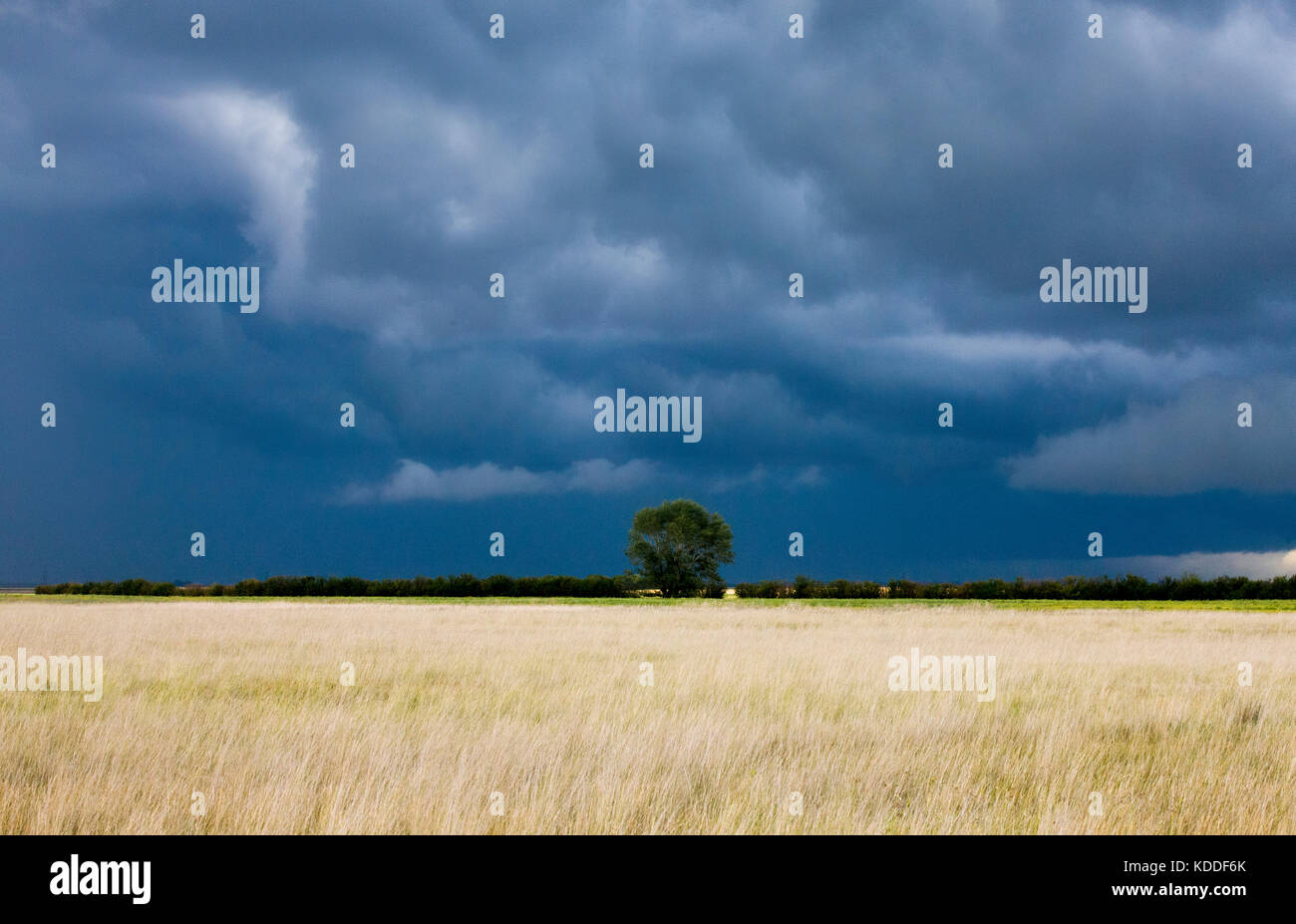 Storm Clouds Canada rural countryside Prairie Scene Stock Photo - Alamy