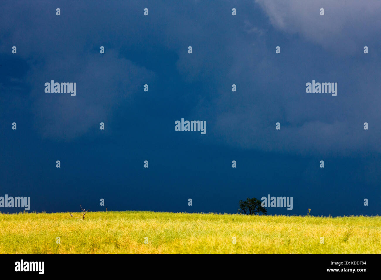 Storm Clouds Canada rural countryside Prairie Scene Stock Photo - Alamy
