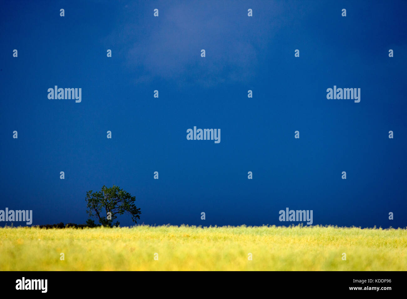 Storm Clouds Canada rural countryside Prairie Scene Stock Photo - Alamy