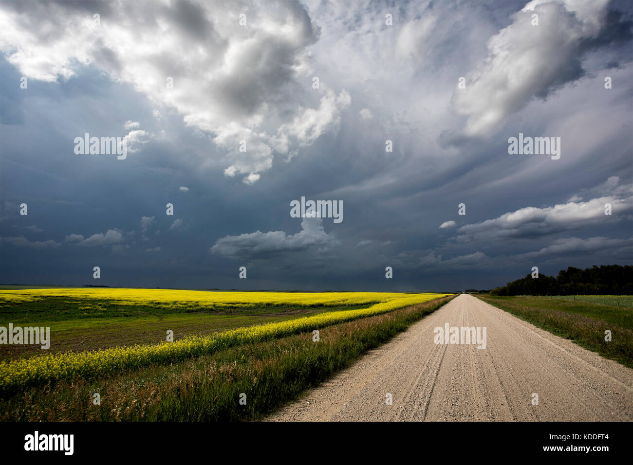 Storm Clouds Canada rural countryside Prairie Scene Stock Photo - Alamy