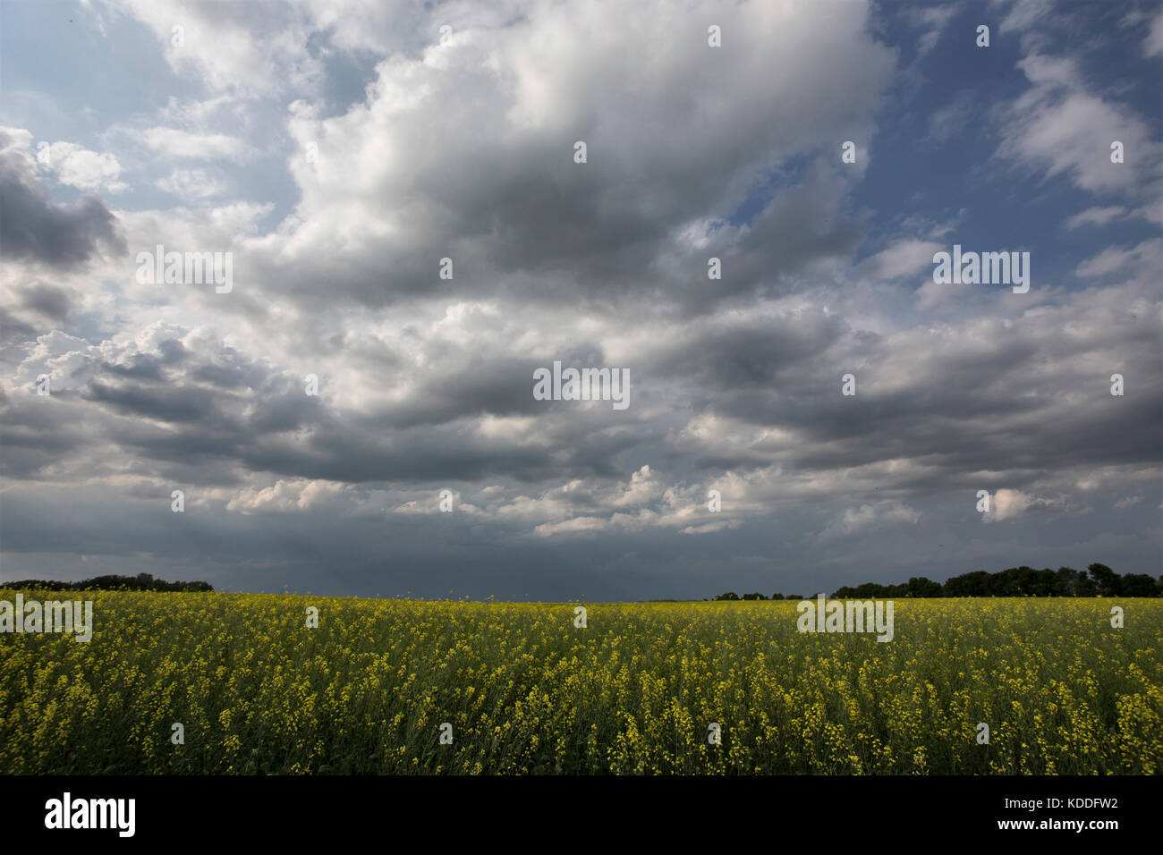 Storm Clouds Canada rural countryside Prairie Scene Stock Photo - Alamy