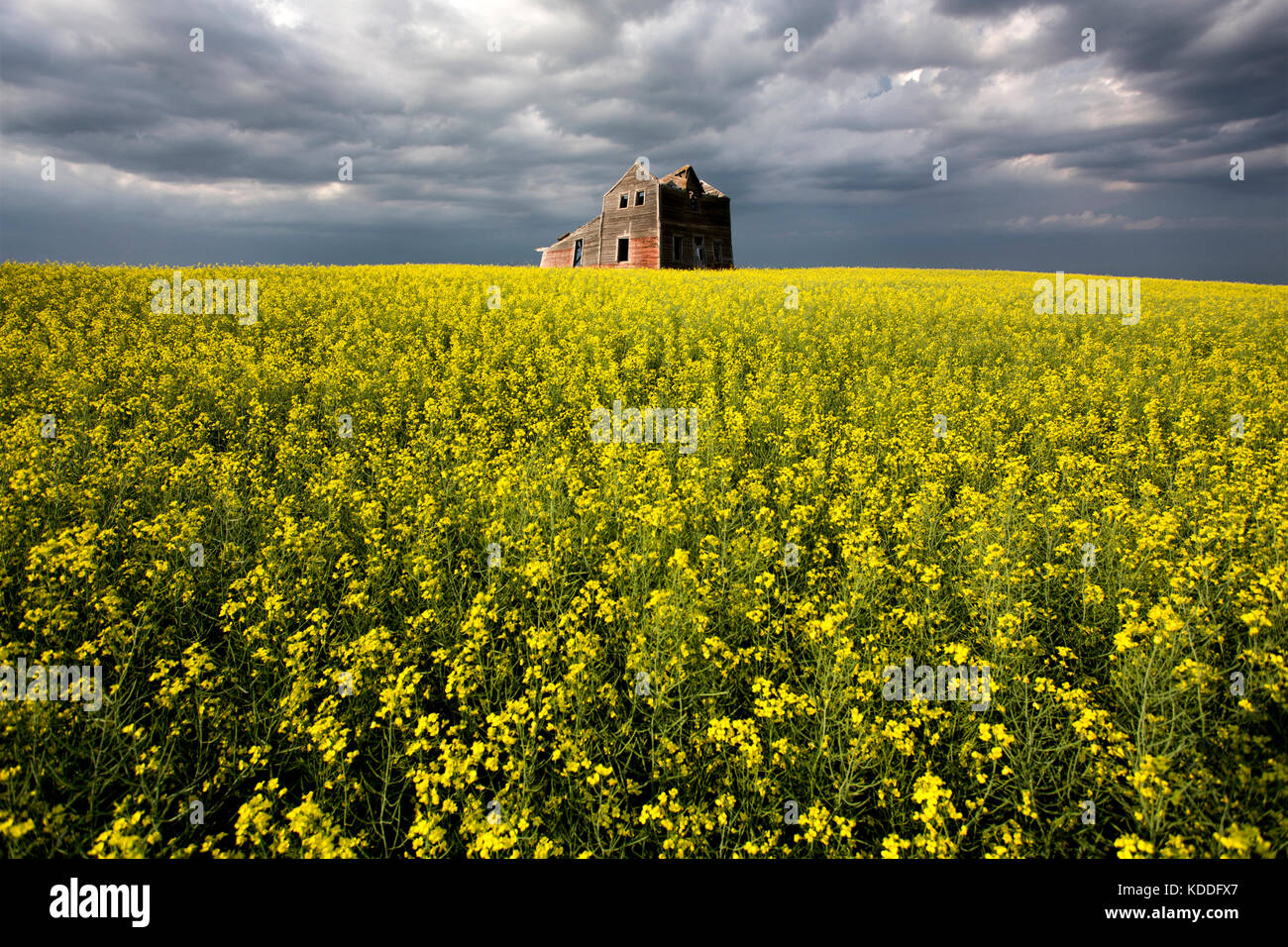Storm Clouds Canada rural countryside Prairie Scene Stock Photo - Alamy