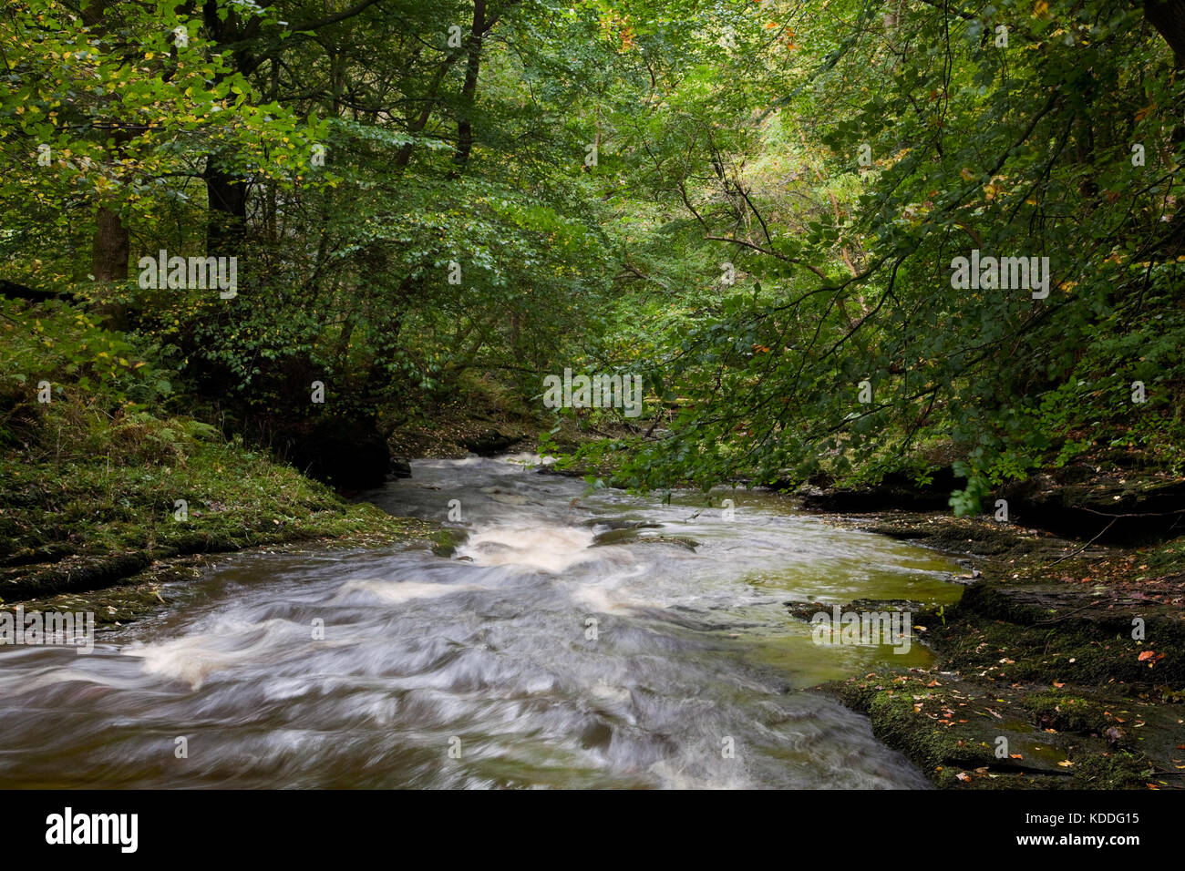 River gelt cumbria hi-res stock photography and images - Alamy