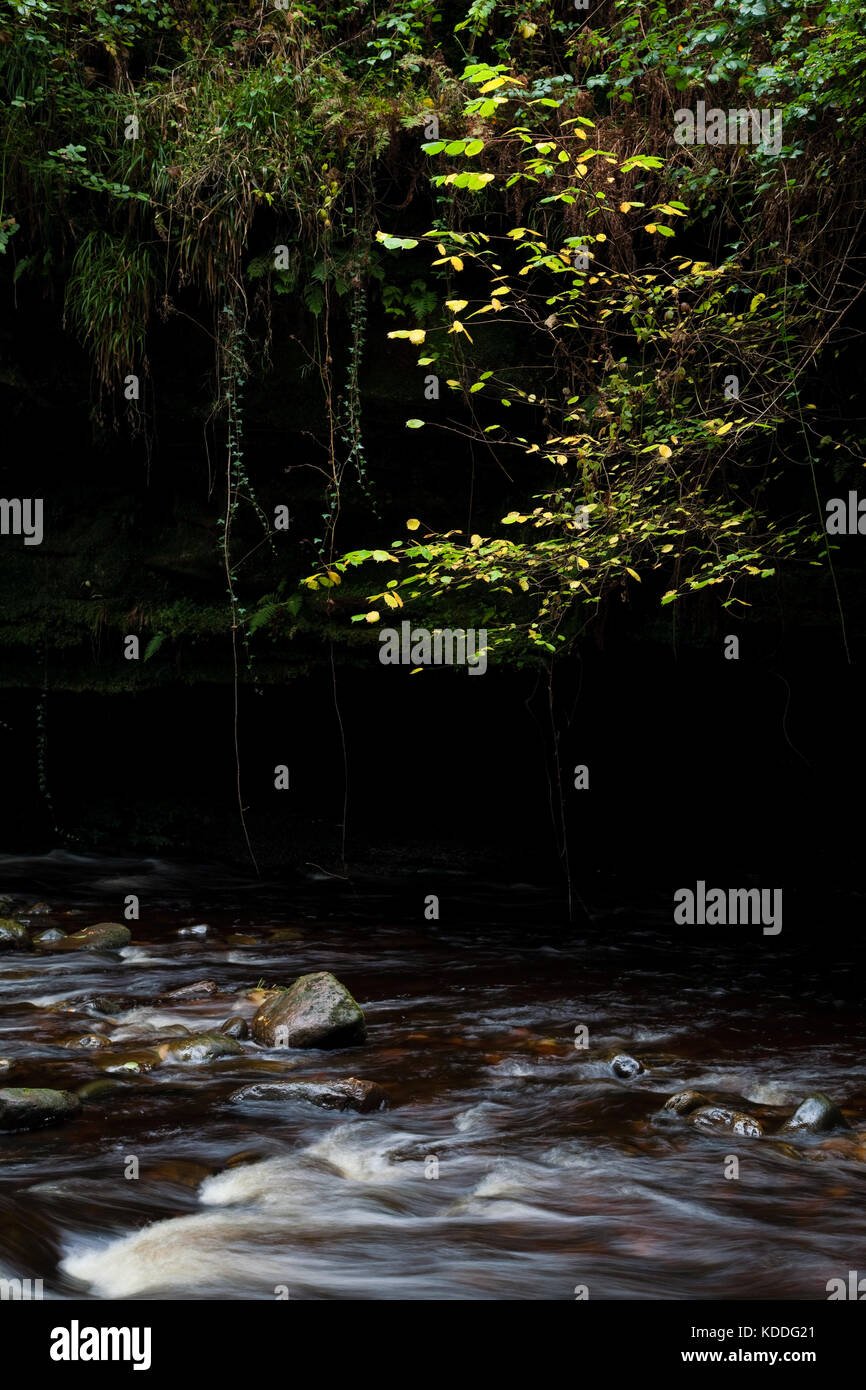 River Gelt flowing through Gelt Woods in Cumbria Stock Photo - Alamy