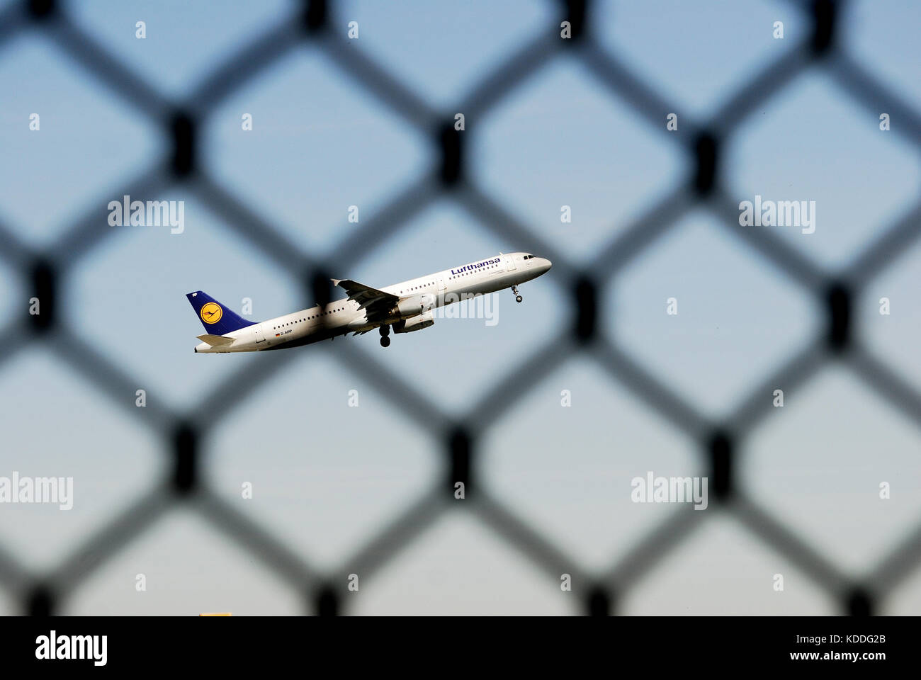 airplane, flight, passenger transport, business, population migration ...