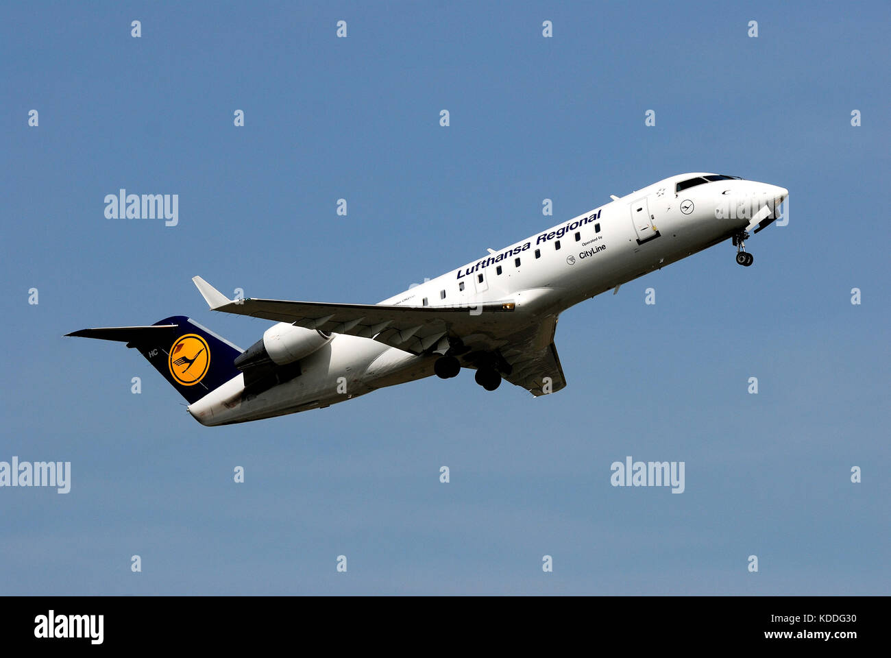 airplane, flight, passenger transport, business, population migration ...