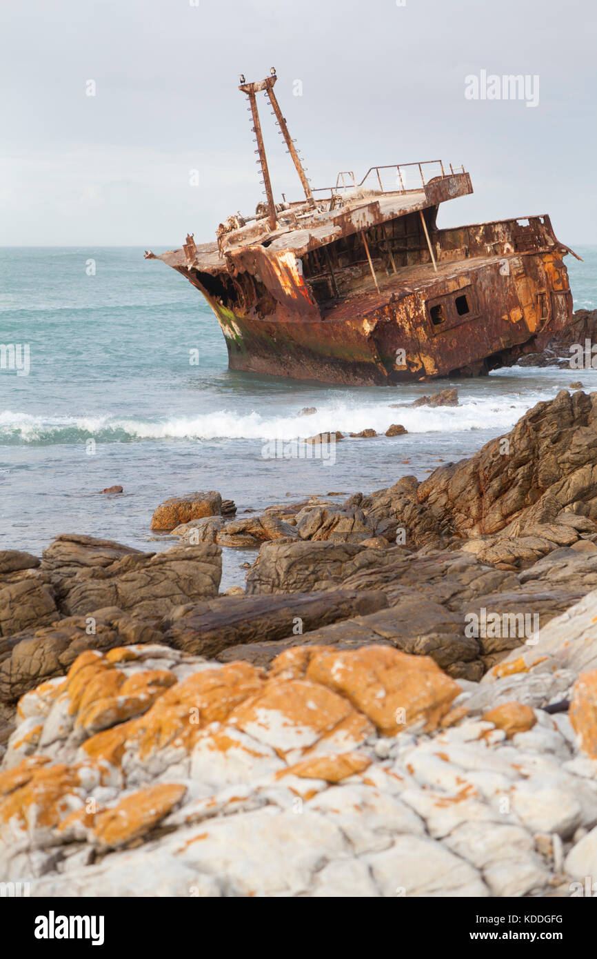 Agulhas park hi-res stock photography and images - Alamy