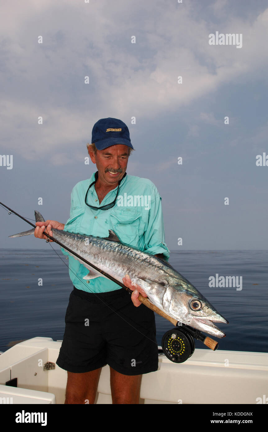 A fisherman with a kingfish or king mackerel caught while fly fishing ...