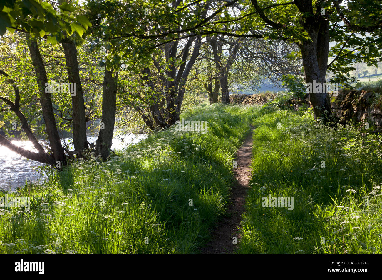 A footpath beside the River Swale near the village of Gunnerside in ...