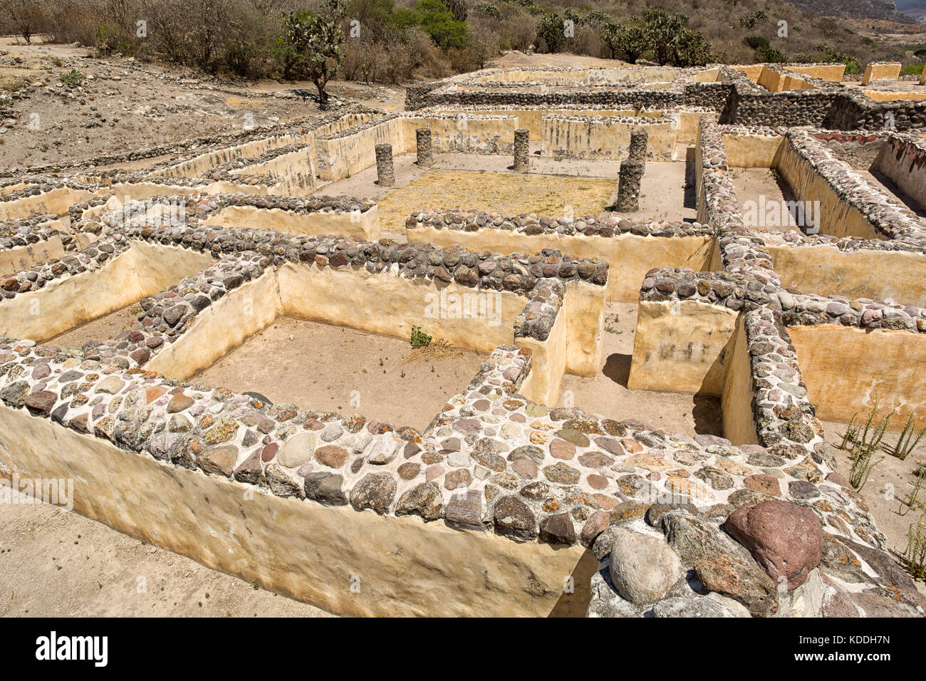 a labyrinthine structure forming an intricate complex of passageways ...