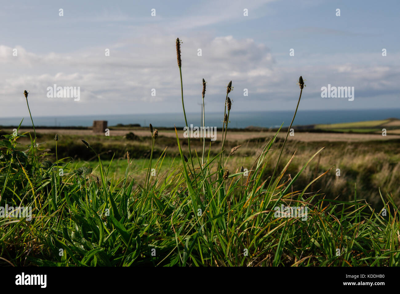 Welsh coastal scene Stock Photo - Alamy