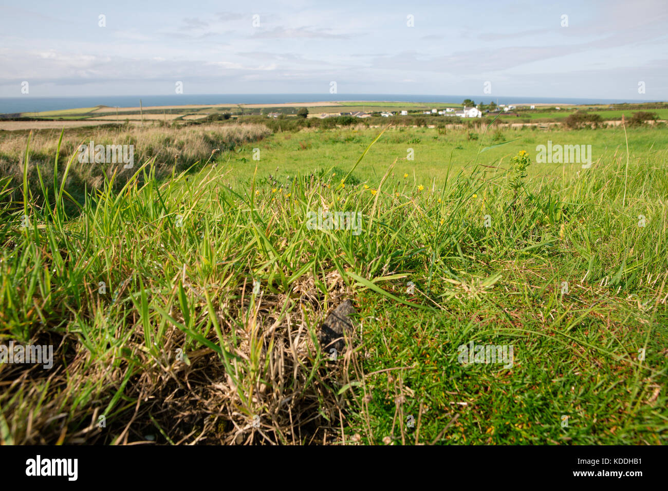 Welsh coastal scene Stock Photo - Alamy