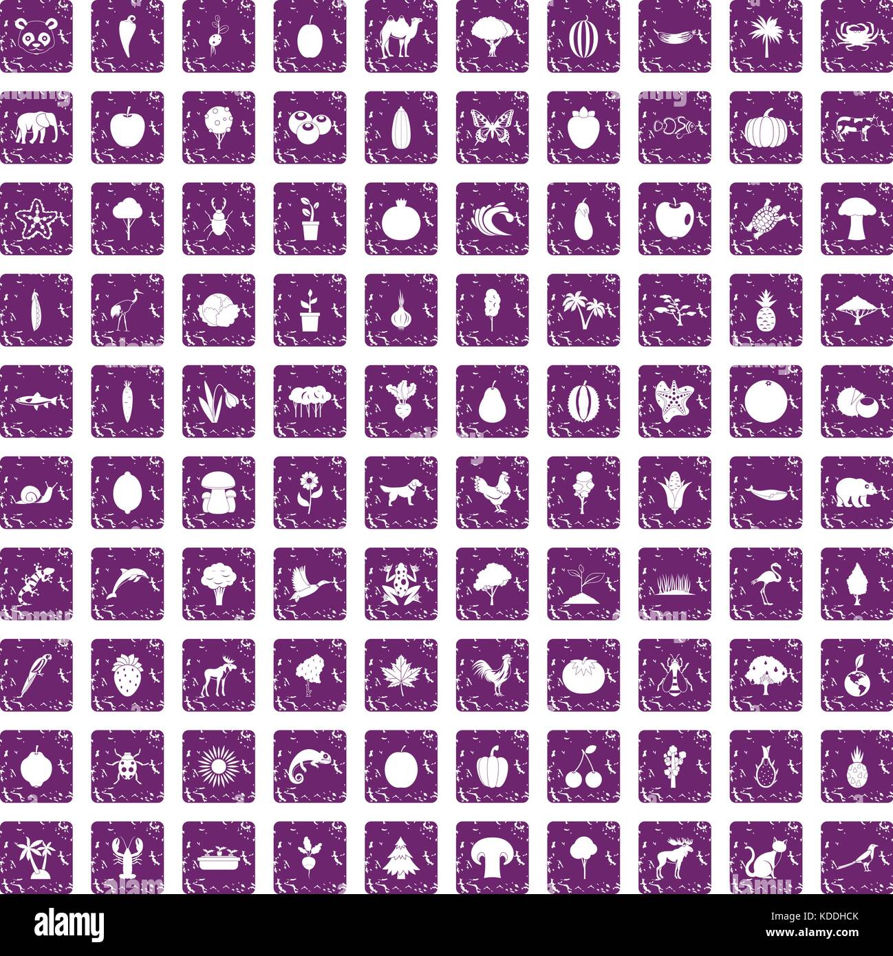 Fruits flowers and insects Stock Vector Images - Alamy