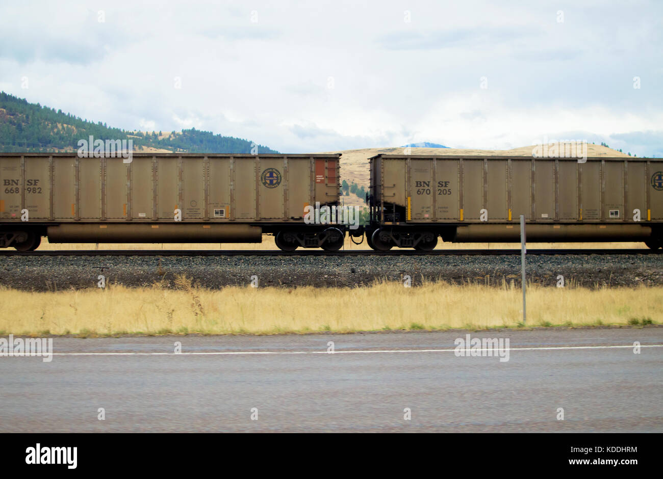 Shipping container doors hi-res stock photography and images - Alamy