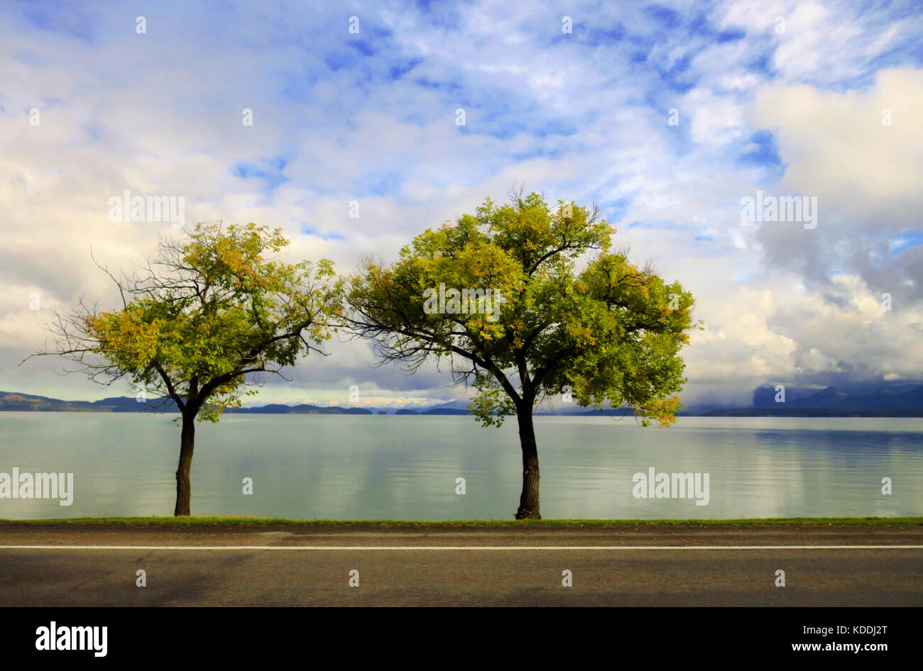 Small fall trees isolated on a clear, smooth still lake Stock Photo - Alamy
