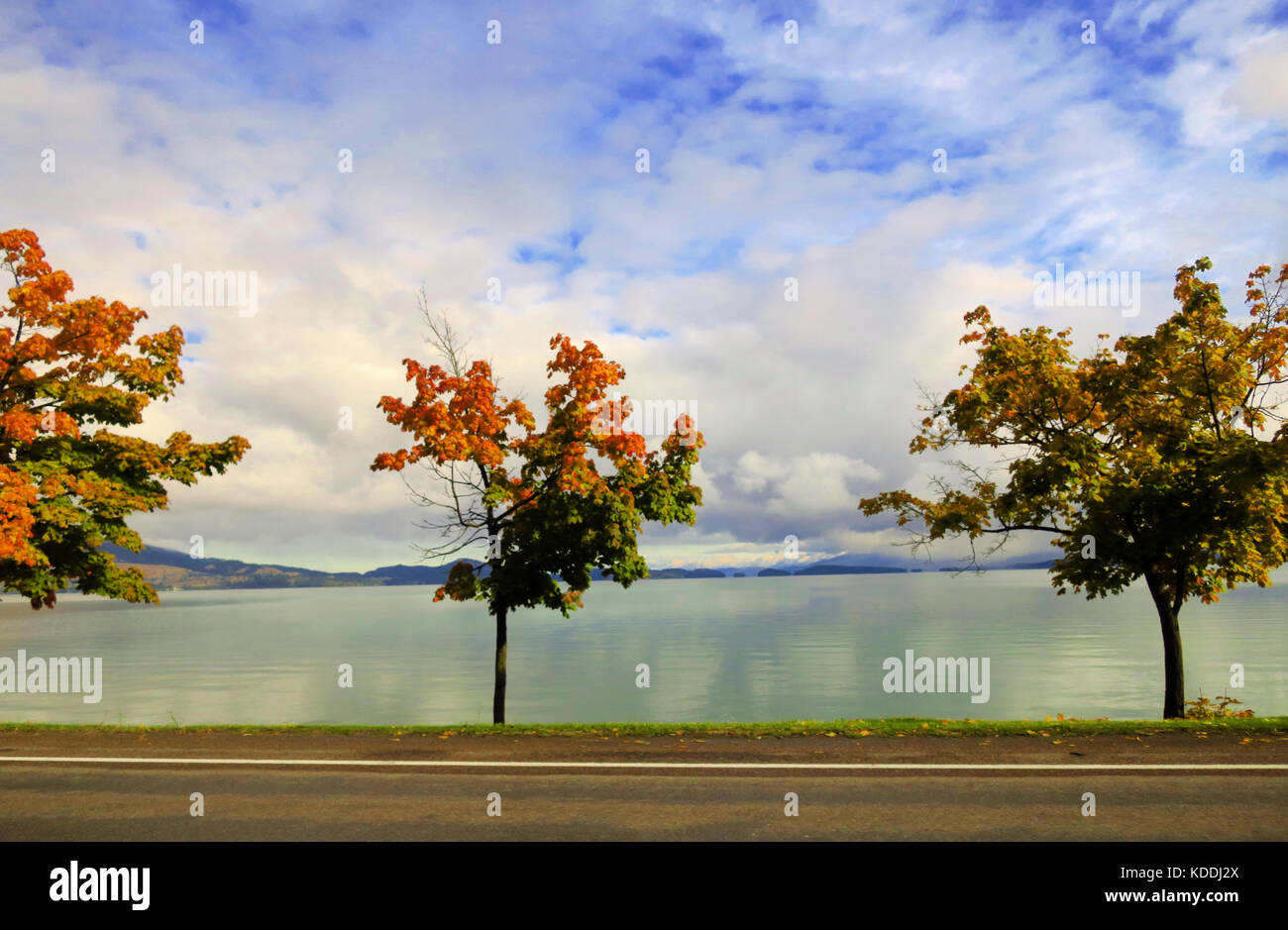 Small fall trees isolated on a clear, smooth still lake Stock Photo - Alamy
