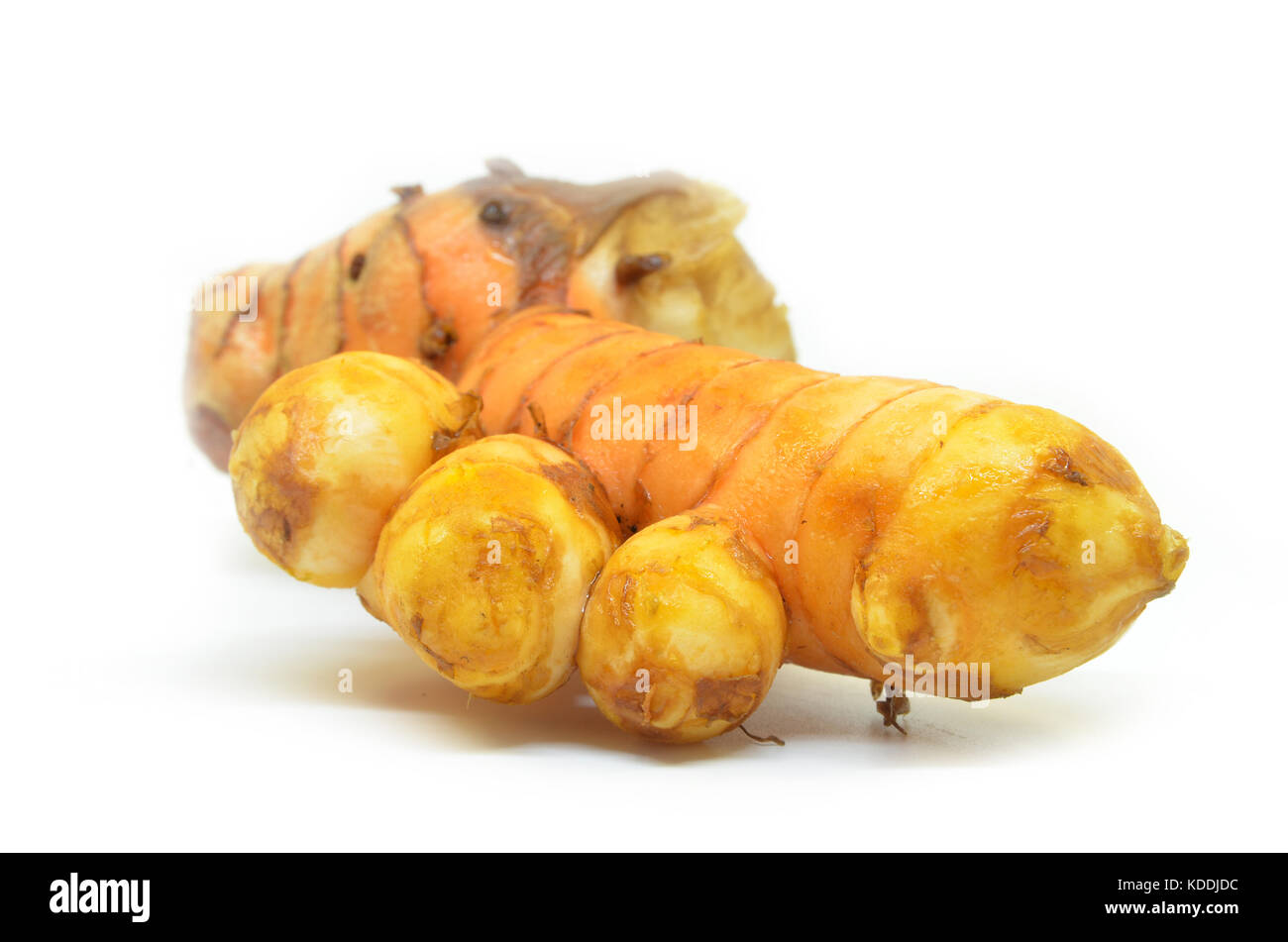 Fresh turmeric root isolated on white background Stock Photo - Alamy