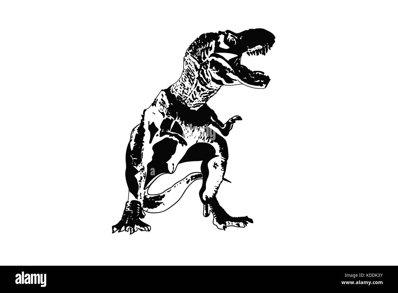 T Rex Black and White Stock Photos & Images - Alamy