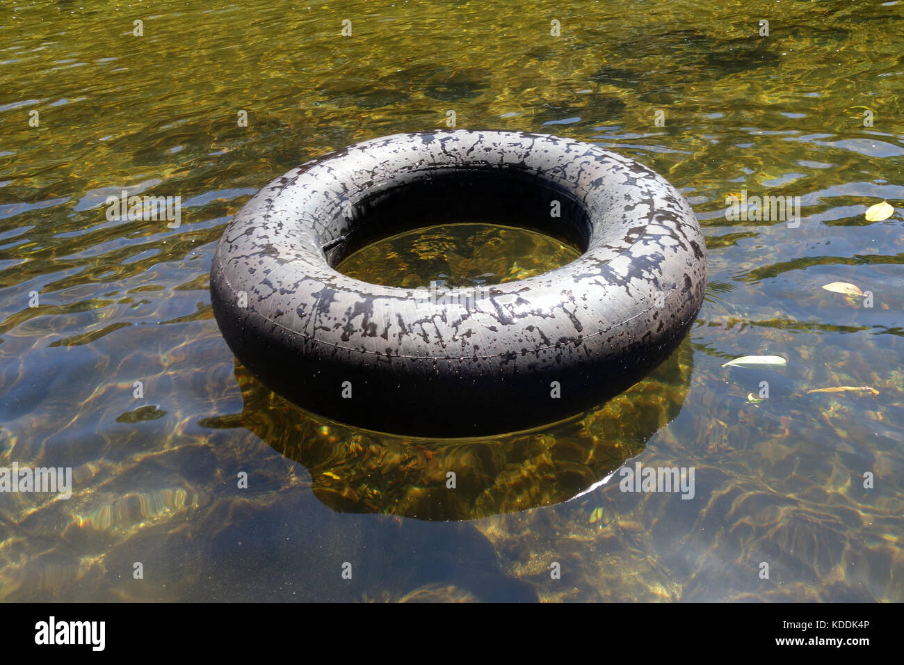 Inner tube floating on Mulgrave River, Goldsborough Valley, near Cairns ...