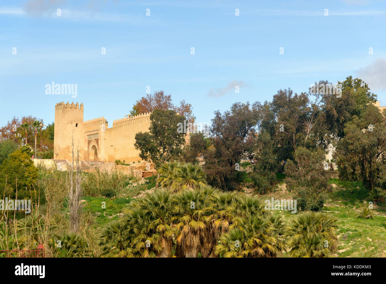 African amer hi-res stock photography and images - Alamy